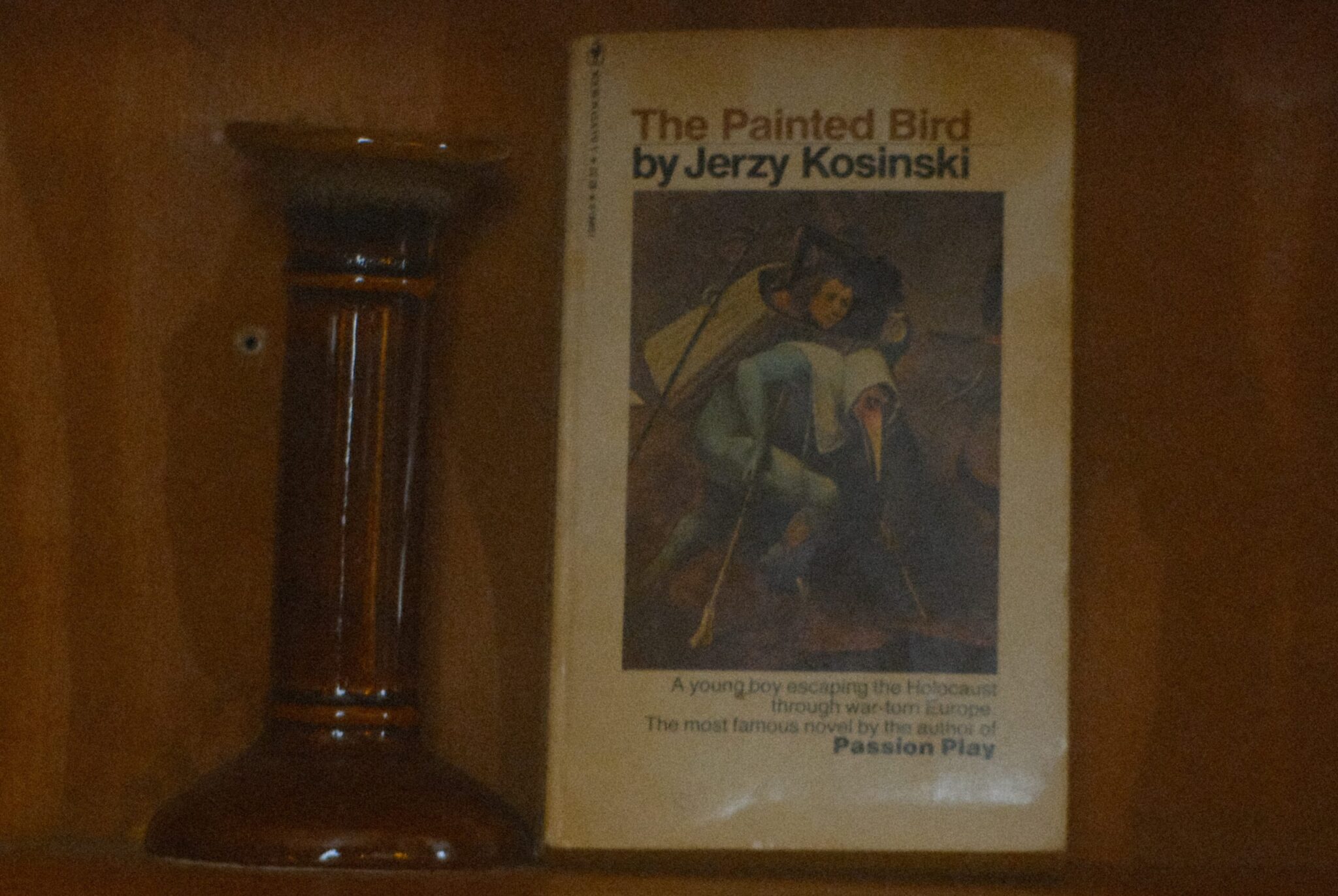 The most disturbing must-read: ‘The Painted Bird’ by Jerzy Kosiński ...